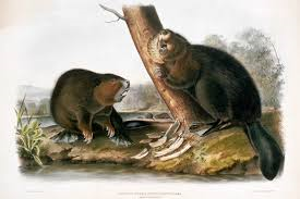 Jesuits and the Huron Nation – Part 2 | mattersofthemoment